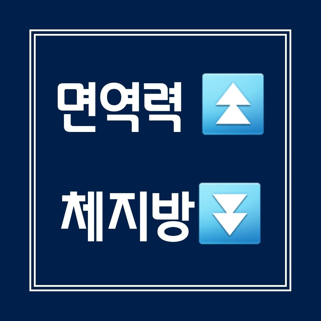평촌동 평안동 점핑온열 평촌역 초원부영아피트 동안고 동안초 귀인초 범계역 경기도 안양시 동안구 평촌동 비즈프로필