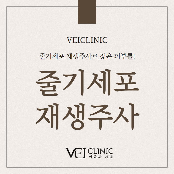 줄기세포 안티에이징 항노화 재생 항염 세포증진 탄력강화 서울특별시 강남구 신사동 비즈프로필