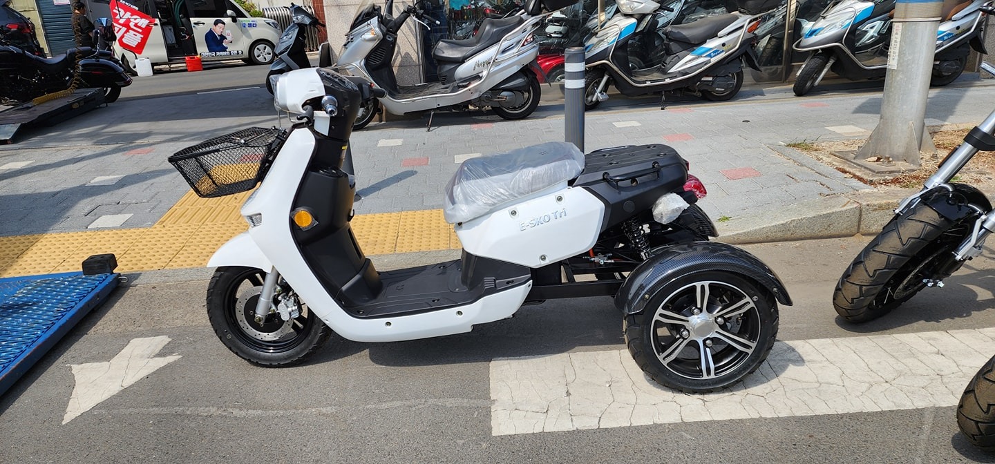 정부지원금 세발 전기스쿠터 이스코트리~오토바이 - 경상북도 포항시 남구 해도동 | 비즈프로필