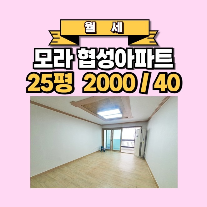 모라협성아파트 25평 월세 임대 저층 에어컨 옵션 도배장판페인트 완료 부산광역시 사상구 모라동 비즈프로필