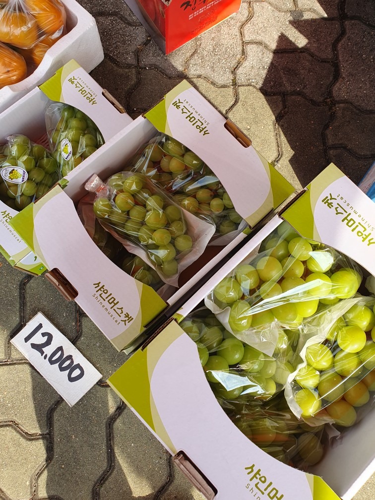 샤인머스켓 1kg 10000원 충청북도 청주시 상당구 용암동 비즈프로필
