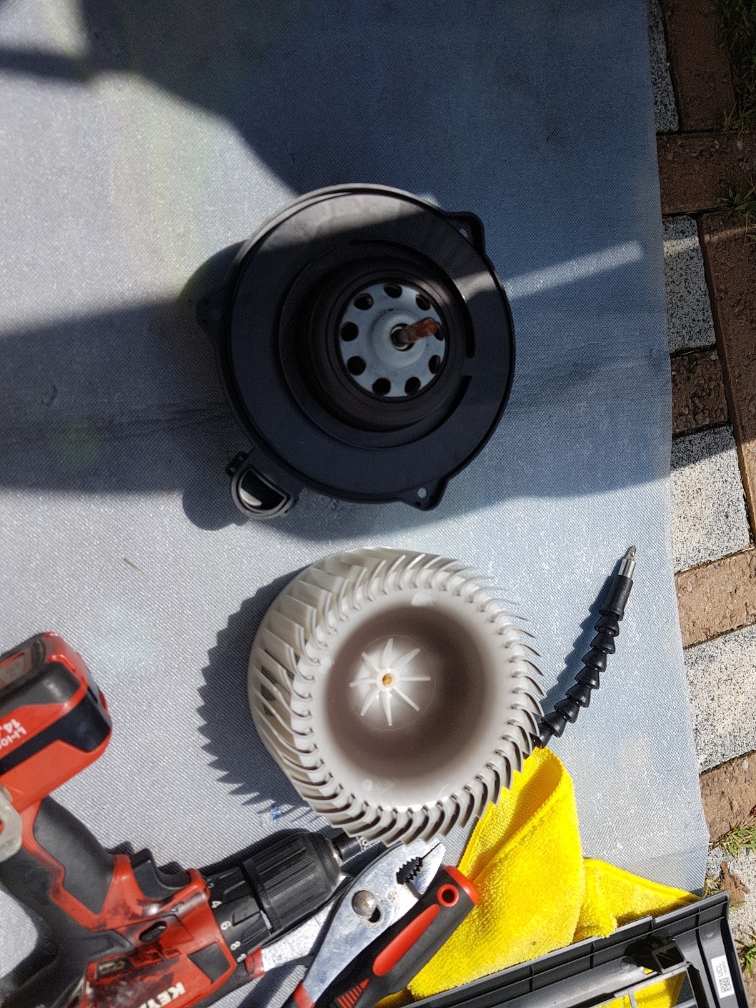 출장스팀세차 에바크리닝 | 울산광역시 중구 학성동 | 출장세차 | 당근 비즈 소식