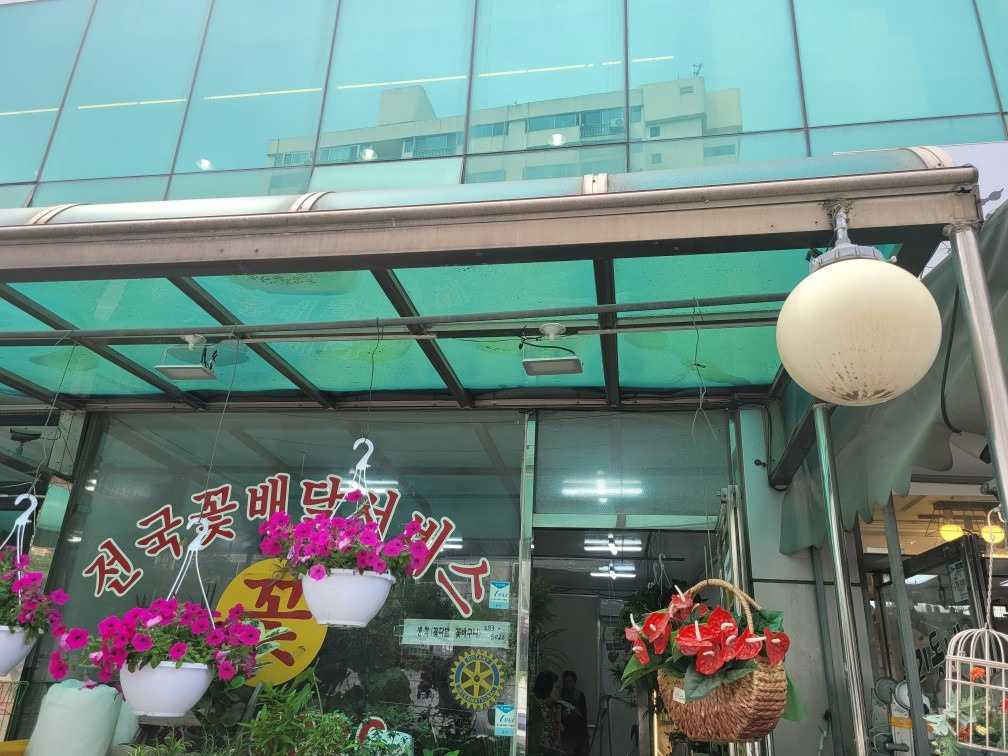 용인조명설치 간판 호박등을 Led투광기로 구갈동 꽃마을 경기도 용인시 기흥구 구갈동 조명기구전기용품 당근 비즈 소식