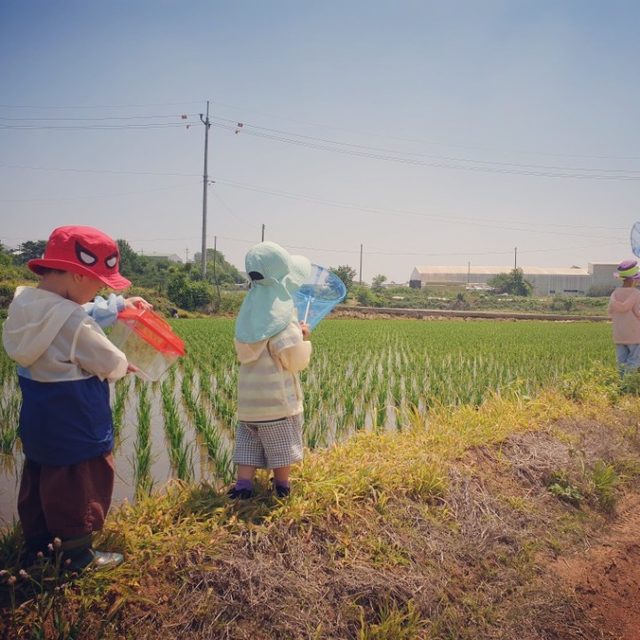 평택공동육아 느티나무어린이집 동네업체
