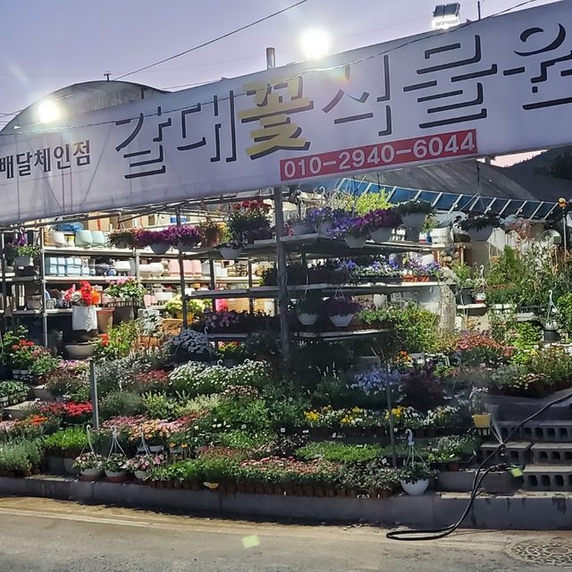 갈대꽃식물원 동네업체