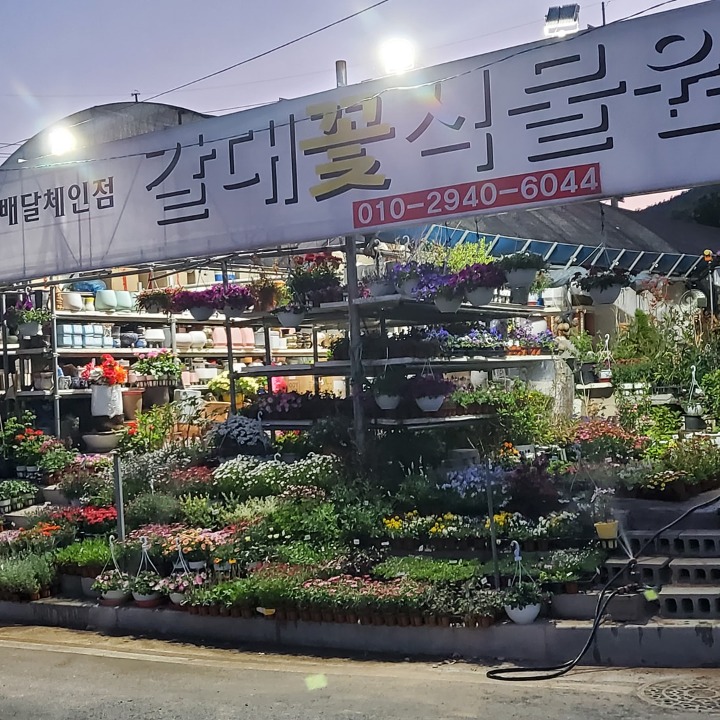 갈대꽃식물원 동네업체