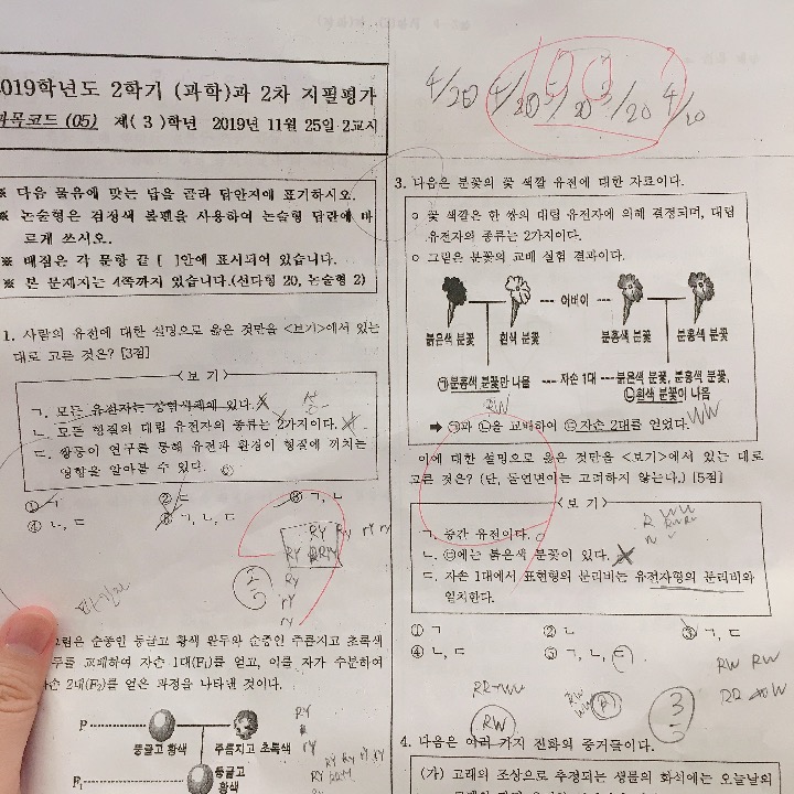 중등전문 수학과학 과외쌤 동네업체