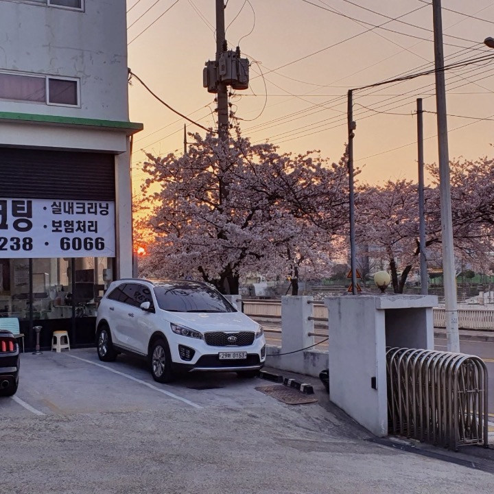 손세차광택유리막흠집제거보험처리 동네업체