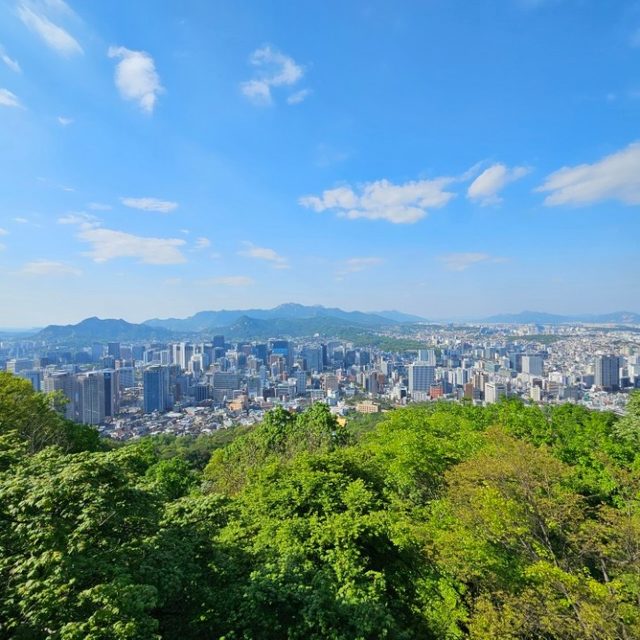 취미생활 동네업체