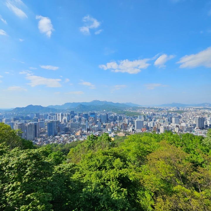 취미생활 동네업체