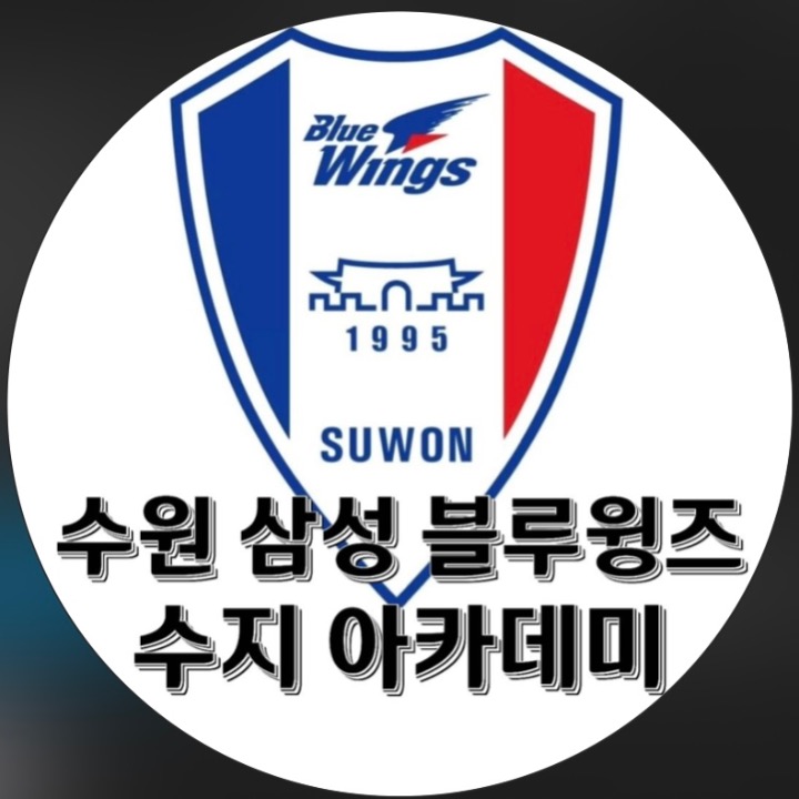 수원삼성 블루윙즈 수지 아카데미 경기도 용인시 수지구 성복동 축구교실 당근 동네 업체