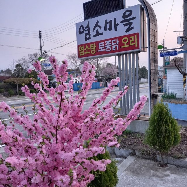염소마을 동네업체