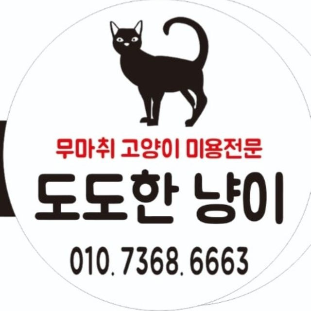 고양이미용 도도한냥이 동네업체
