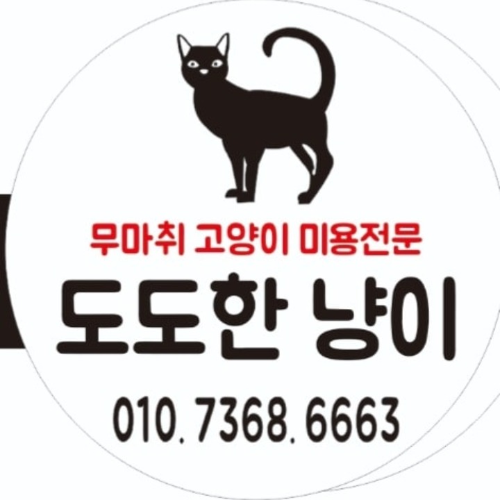고양이미용 도도한냥이 동네업체