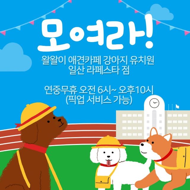 왈왈이애견카페 강아지유치원 동네업체