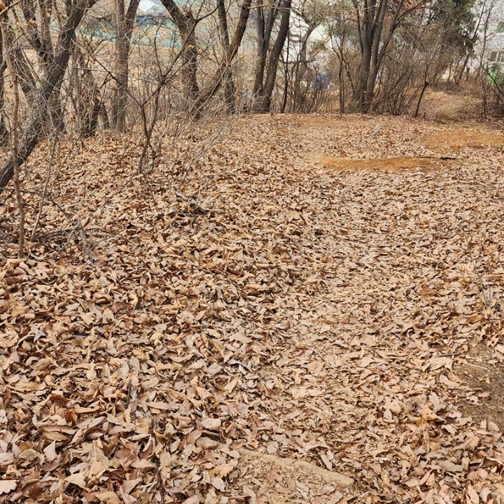속보과천 주암지구토지 8필지공급 동네업체