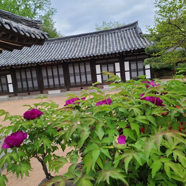 송음 경상남도 창원시 성산구 사파동 기타음악클래스 당근 동네 업체