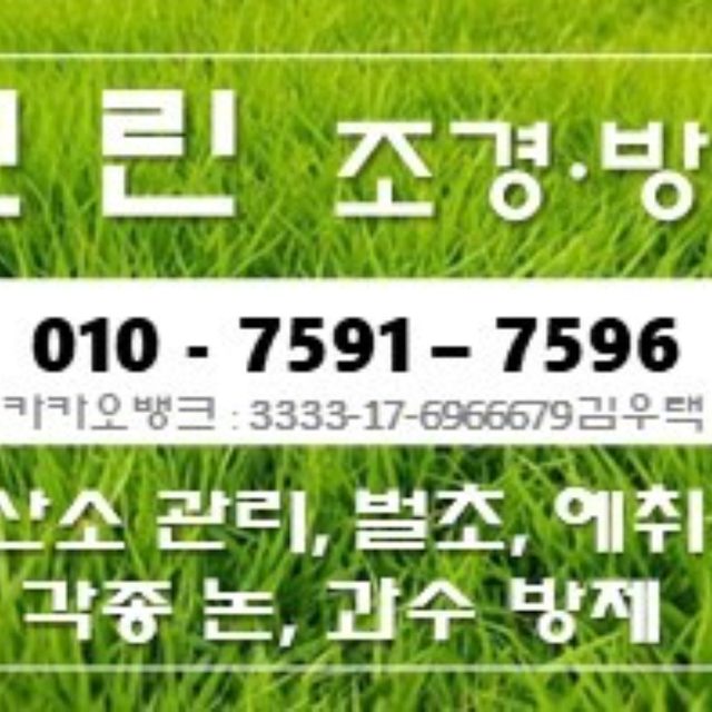 벌초대행 산소관리 잔디관리 동네업체