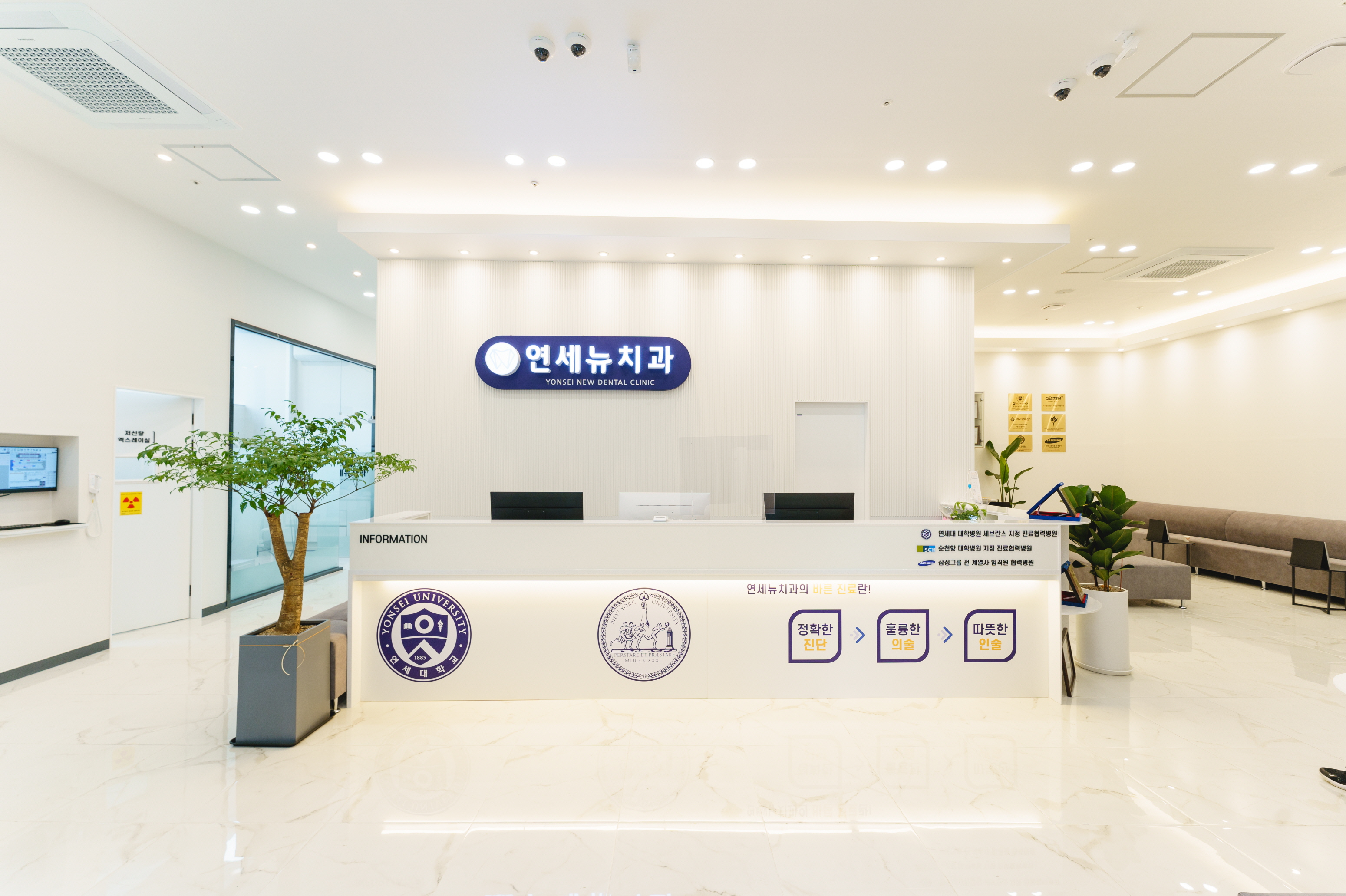 연세뉴치과 천안아산ktx역 본점 동네업체