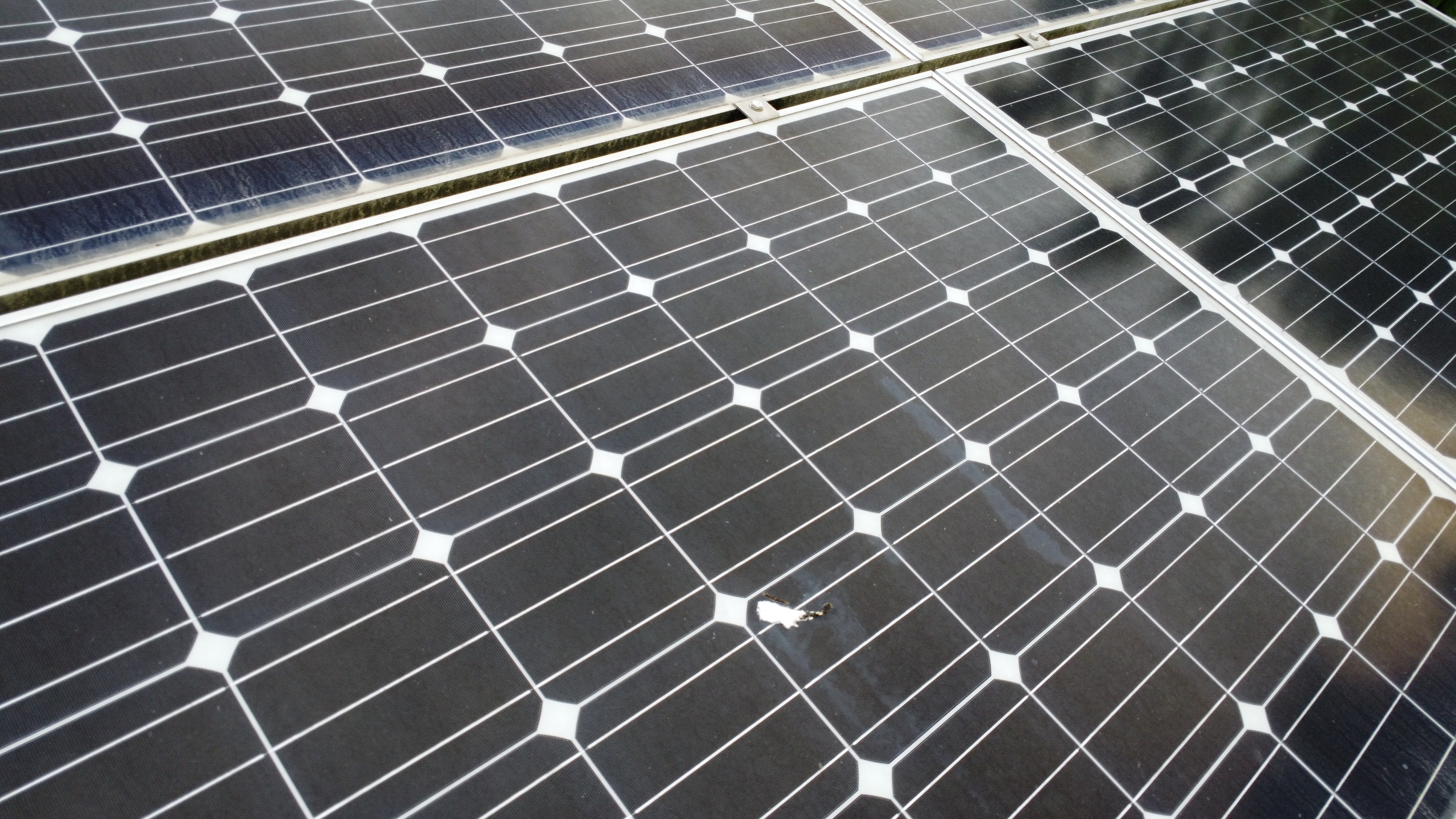 청양에 위치한 93kw 태양광 모듈 청소 - 전라북도 전주시 덕진구 금암동 | 비즈프로필