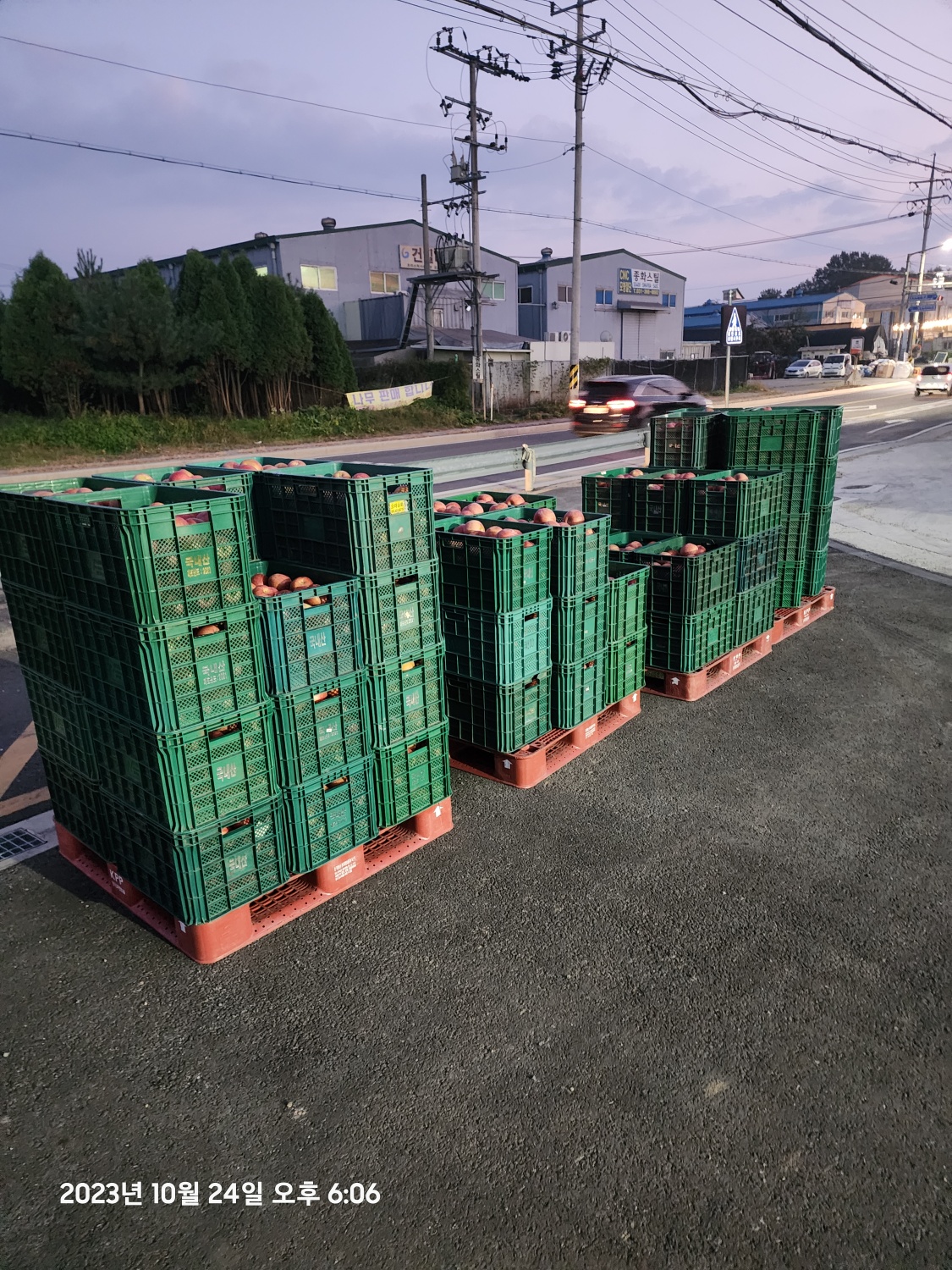 세척 달수고구마 한입 파지, 5000원부터~ 부사 2차 입고되었습니다~ - 세종특별자치시 조치원읍 | 비즈프로필