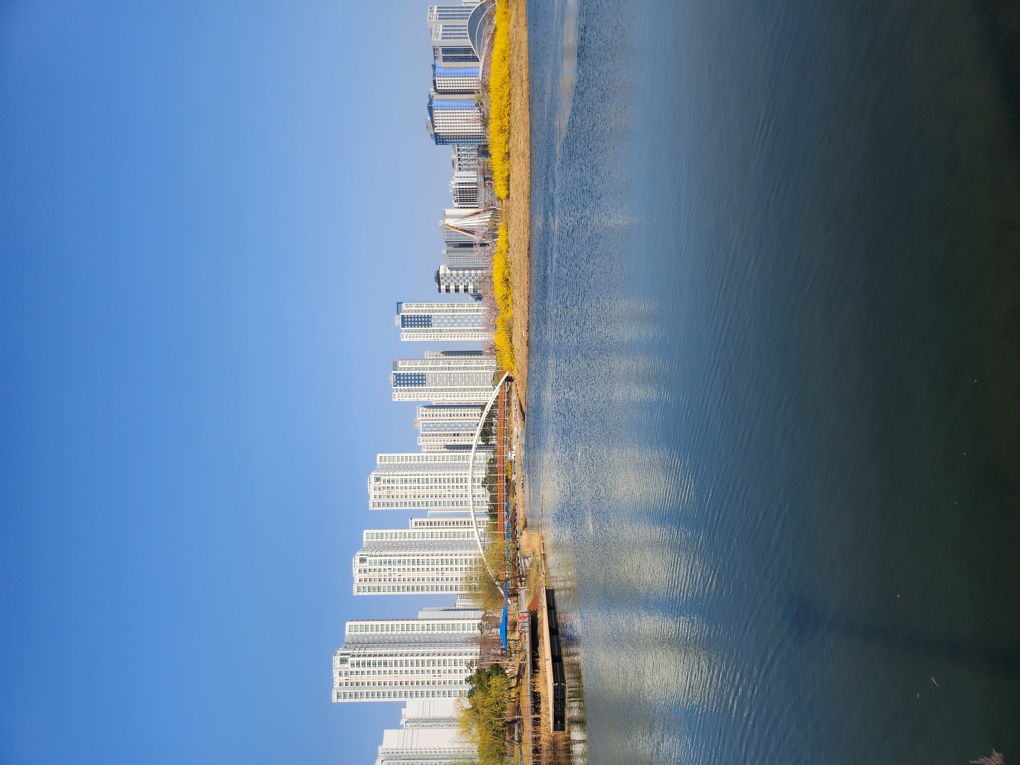 신박한 놈들 | 동네업체