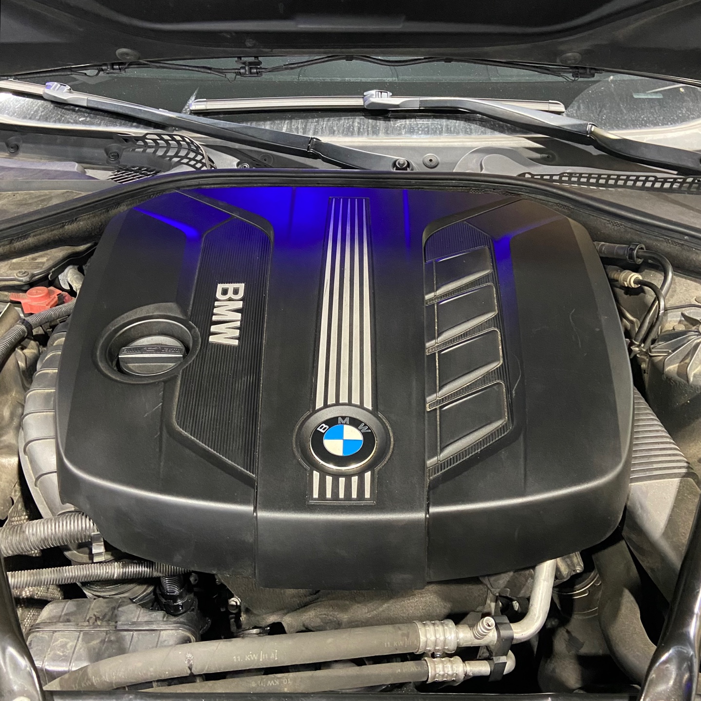 일산 BMW 수리 전문 - F10 520d 댐퍼풀리 / 서모스탯 하우징 교환 - 경기도 고양시 일산동구 성석동 | 비즈프로필