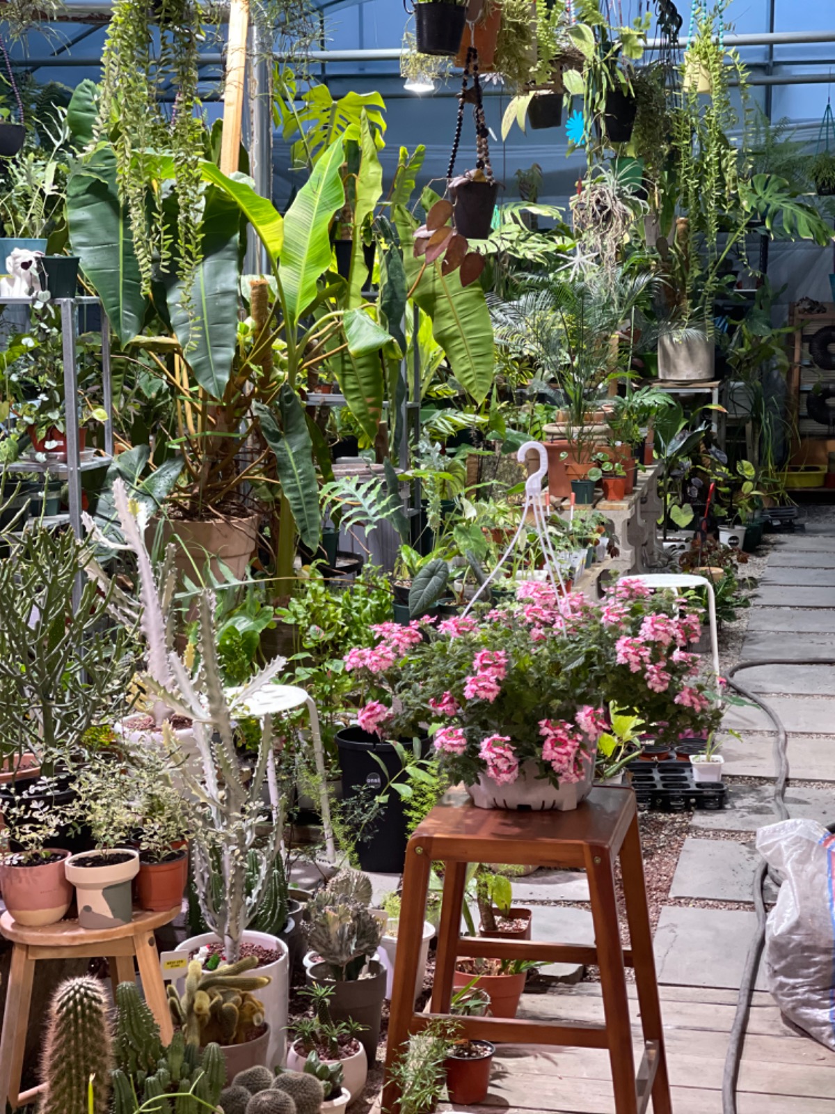 보타닉스튜디오 온실 | 동네업체