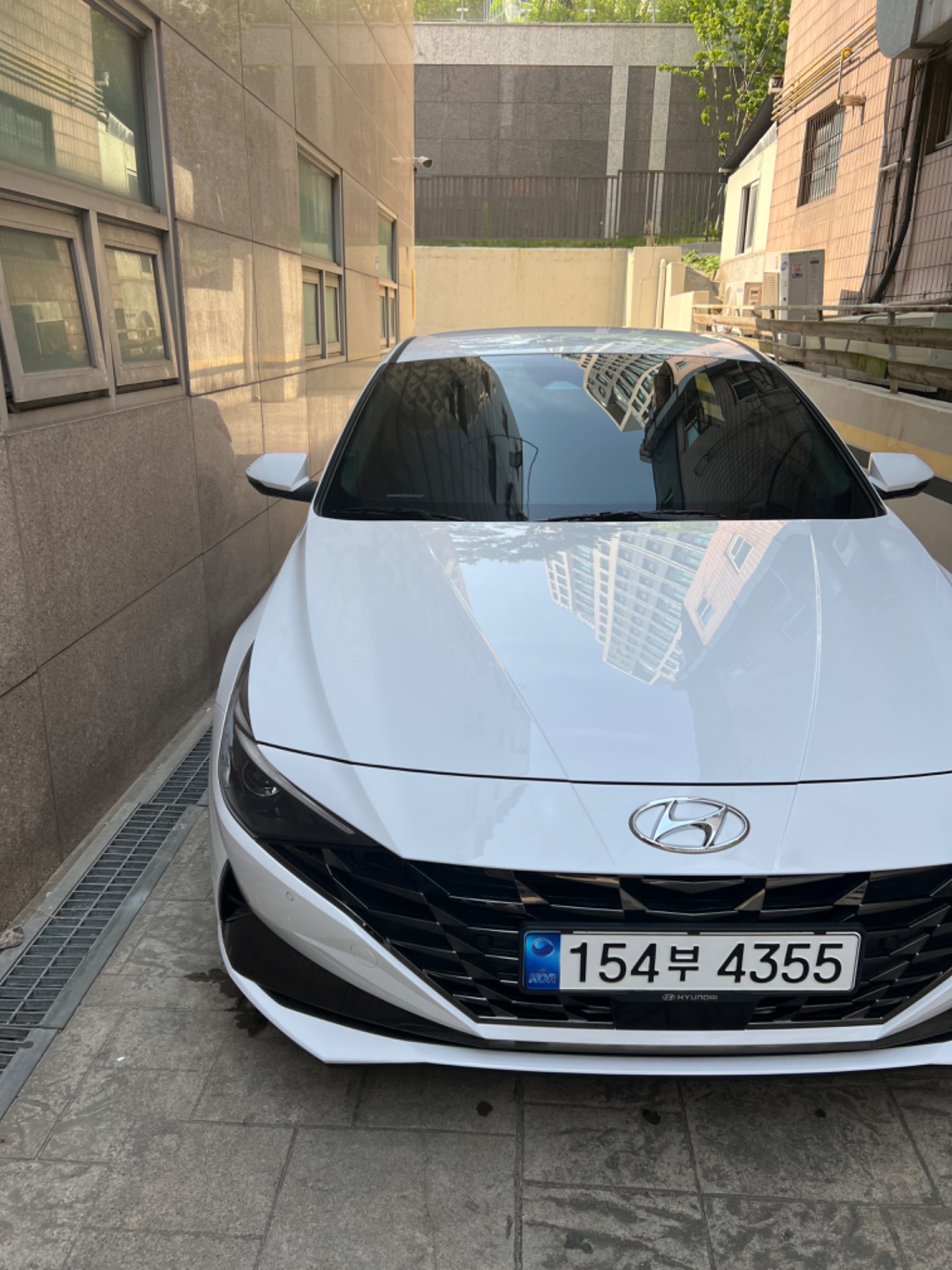 올 뉴 아반떼 CN7 1.6 GDi 모던 | 역삼동 | 당근 중고차