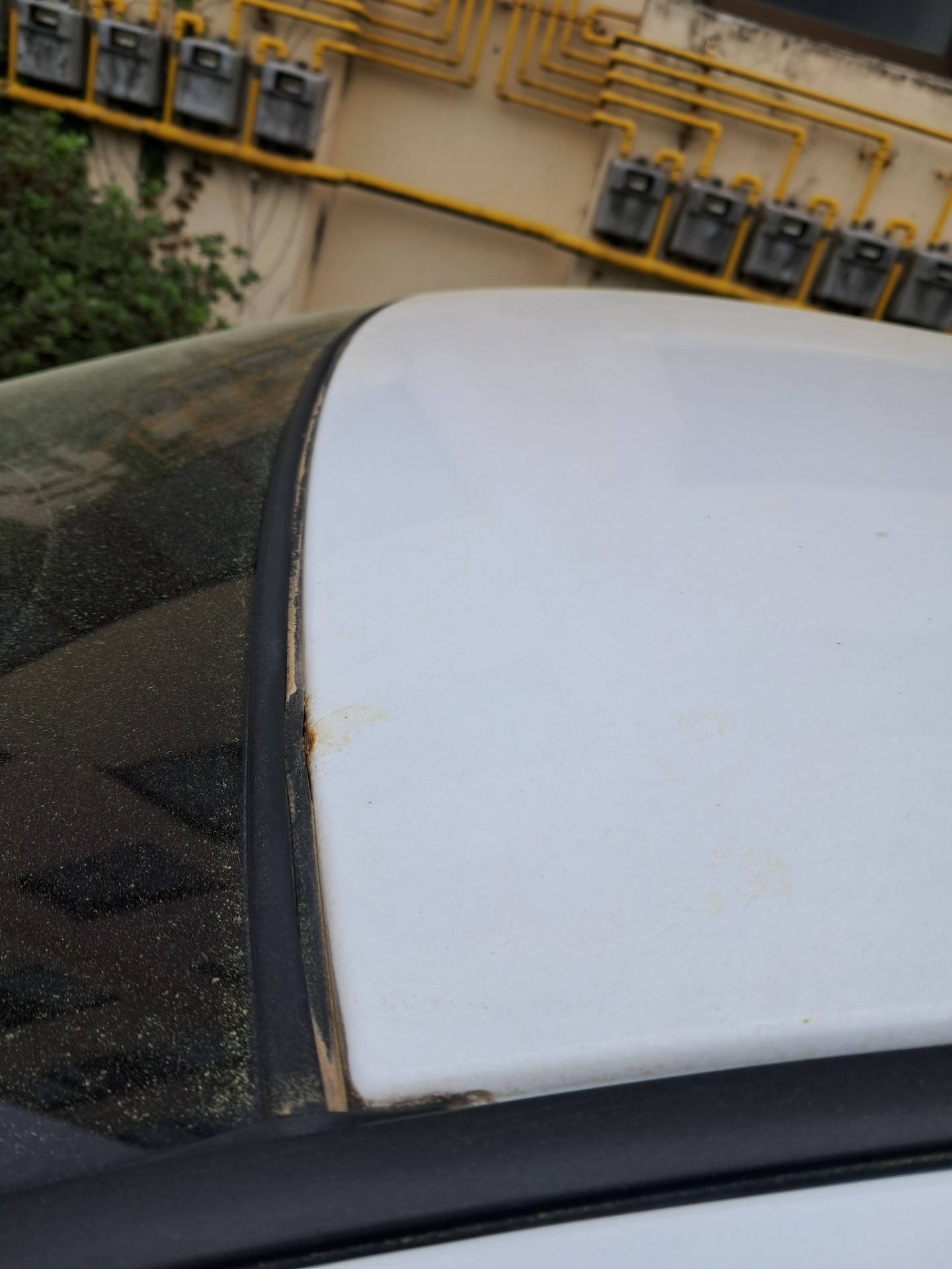 르노코리아 뉴 SM5 EX1