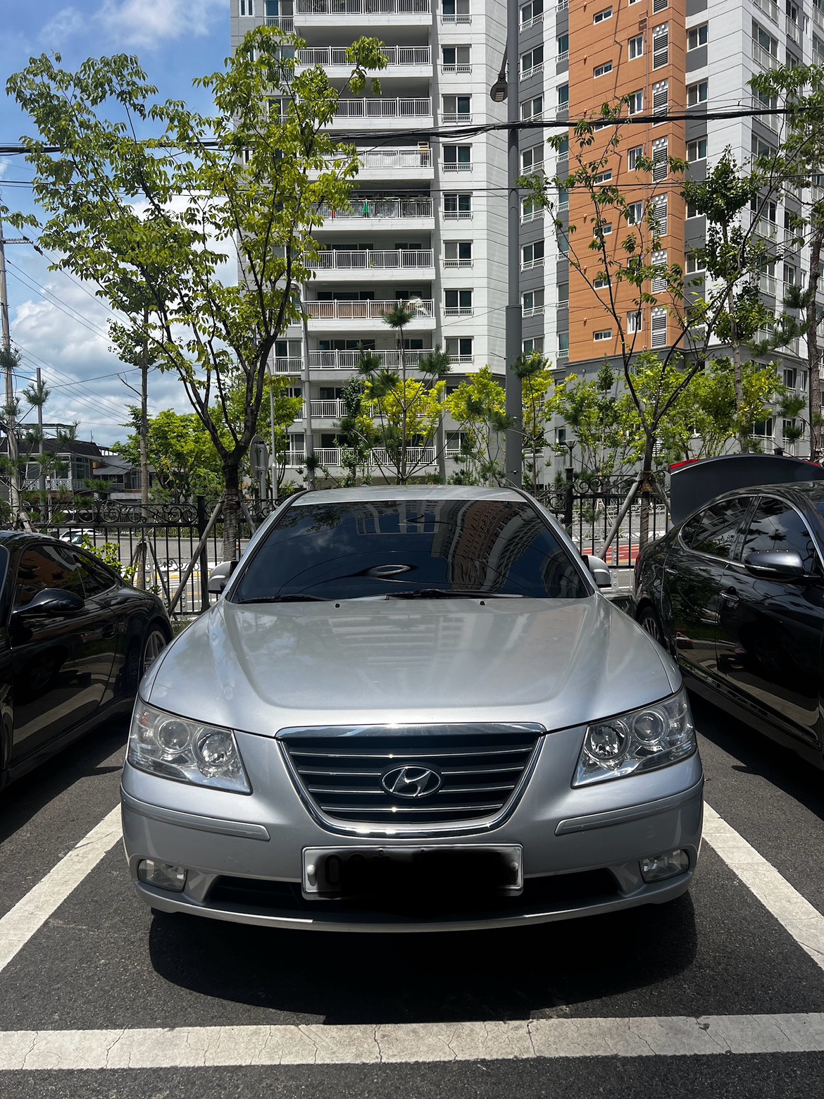 NF 쏘나타 트랜스폼 NF LPi N20 렌트 디럭스 | 신평1동 | 당근 중고차