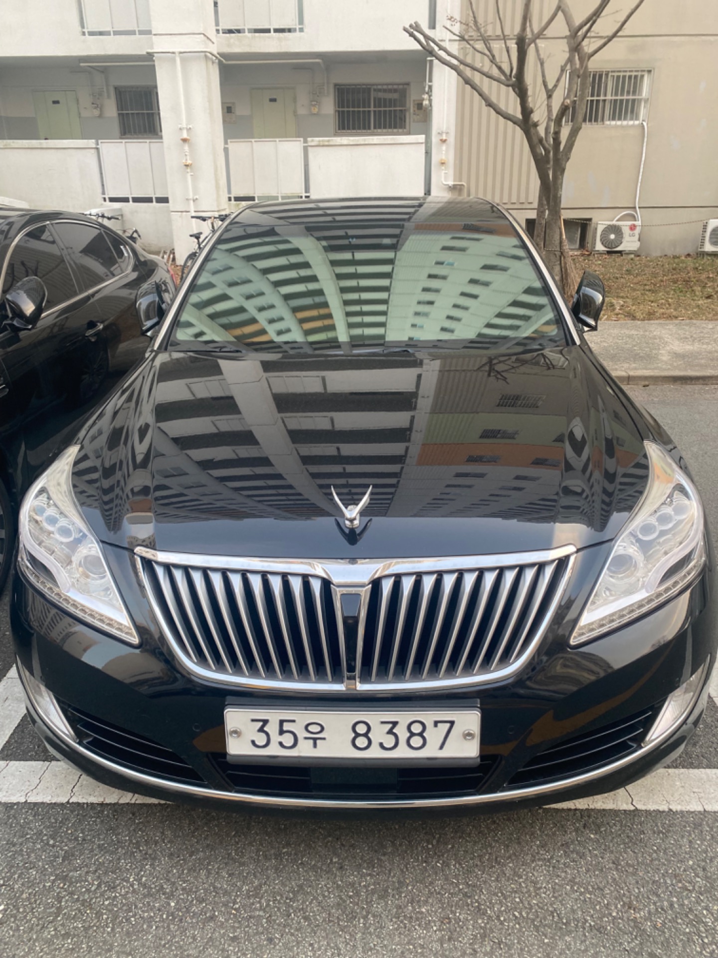 신형 에쿠스 VI 5인승 VS500 프레스티지 | 신기동 | 당근 중고차