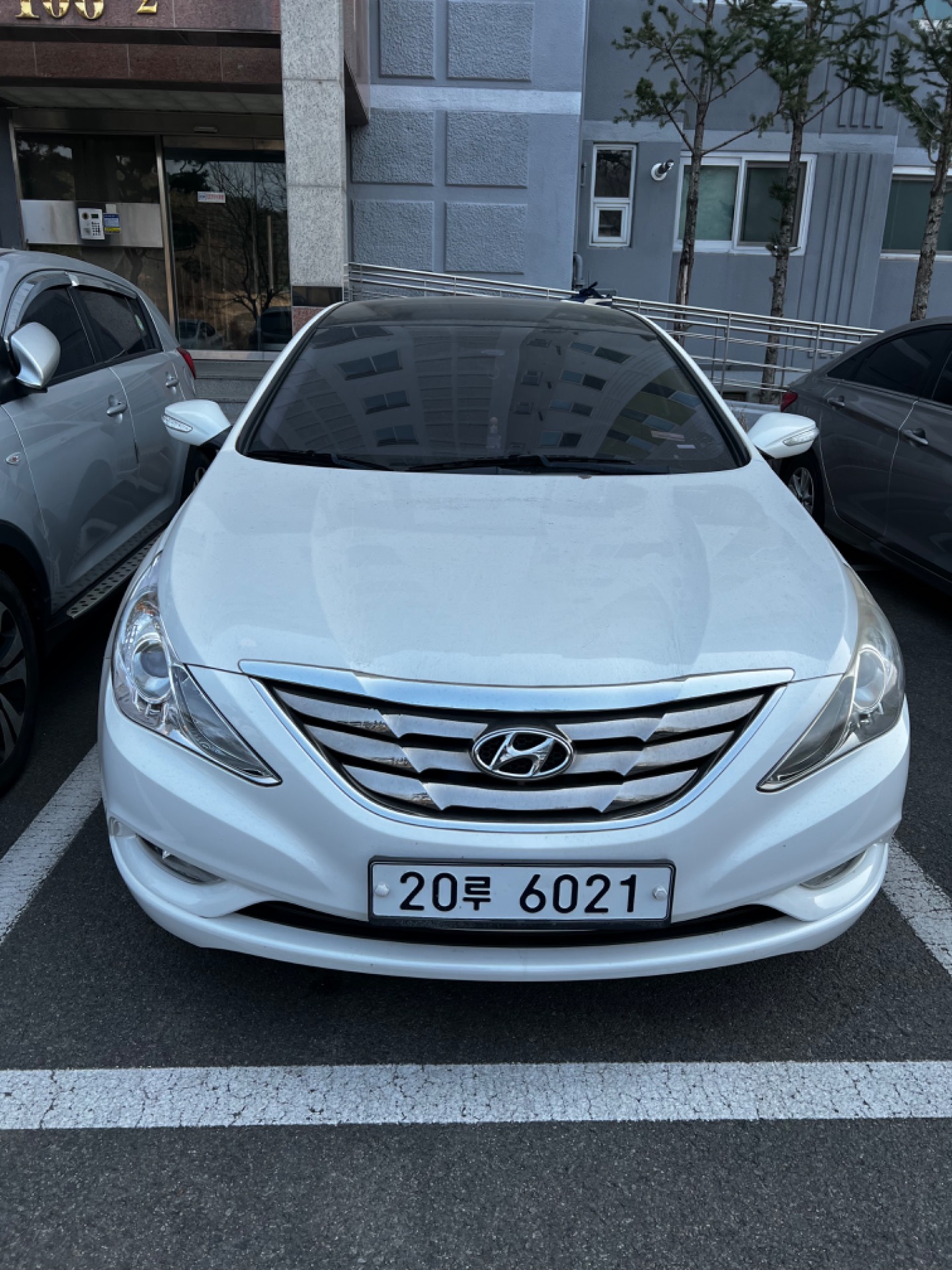 YF 쏘나타 YF LPi Y20 렌트 디럭스 | 다사읍 | 당근 중고차