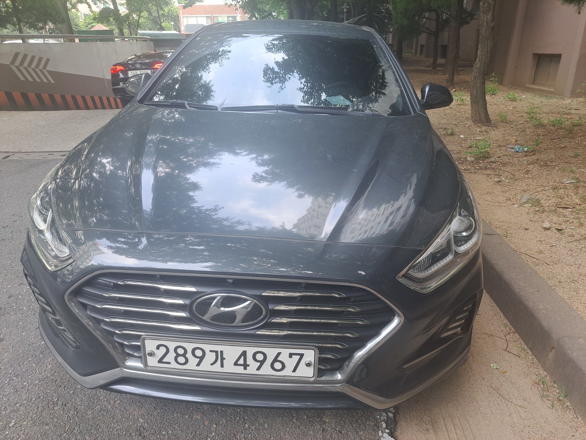 쏘나타 뉴 라이즈 LF. 19 2.0 CVVL 스타일 | 배곧동 | 당근 중고차