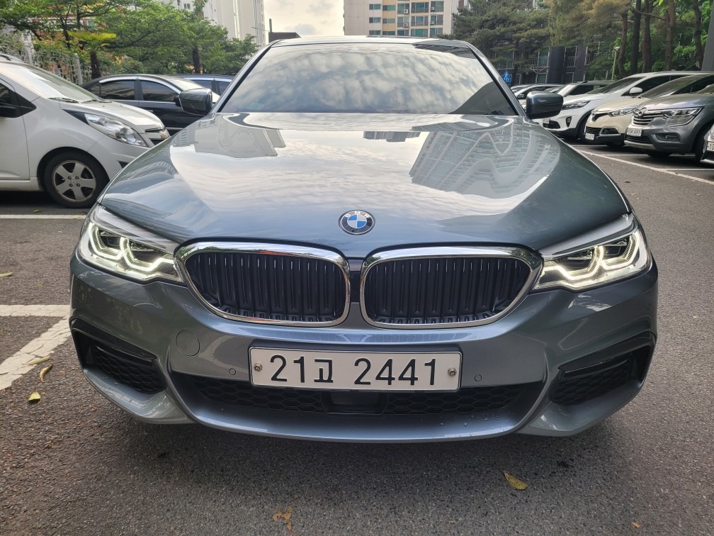 BMW 5시리즈 G30 530 i (252마력)M 스포츠