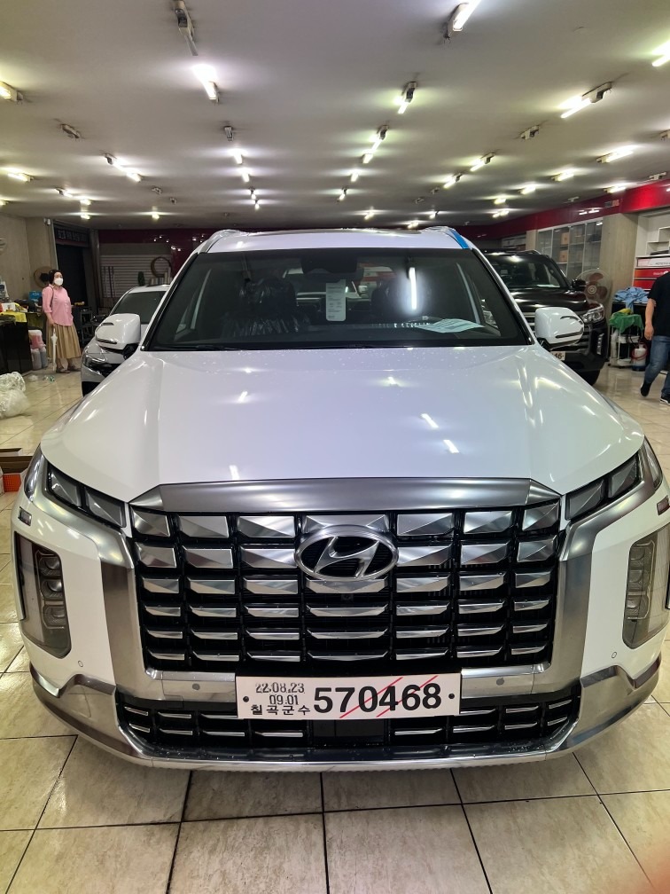 현대 더 뉴 팰리세이드 LX2 8인승(디젤 2.2) FWD 캘리그래피