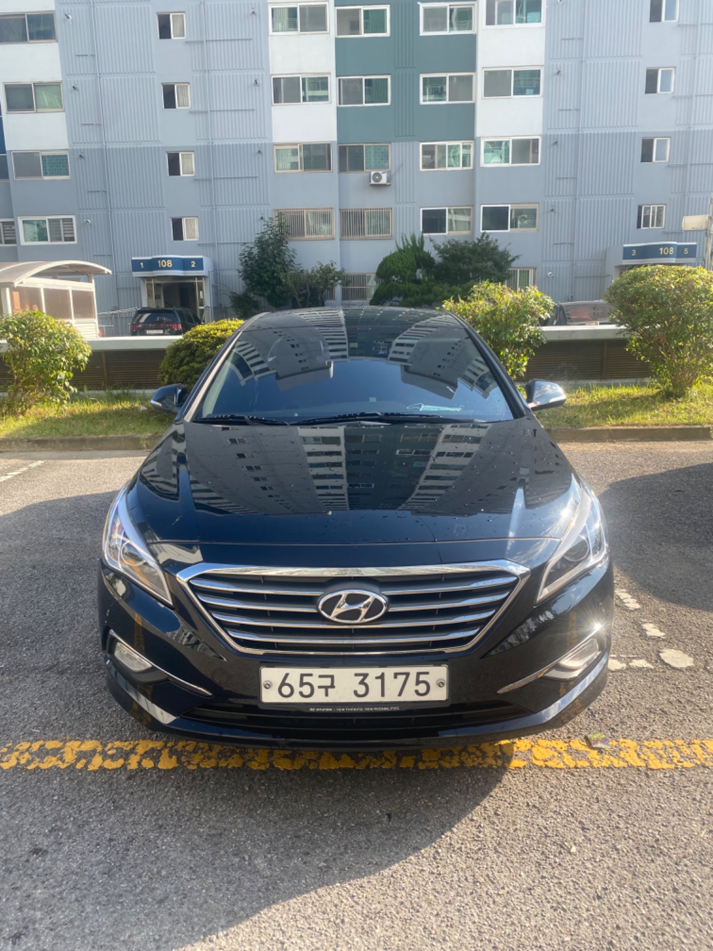 LF 쏘나타 LF LPi 2.0 렌트용 프리미엄 | 치평동 | 당근 중고차