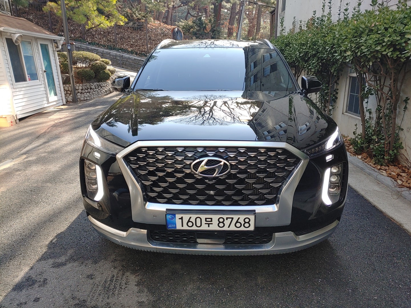 팰리세이드 LX2 7인승(디젤 2.2) 4WD 캘리그라피 | 역삼동 | 당근 중고차