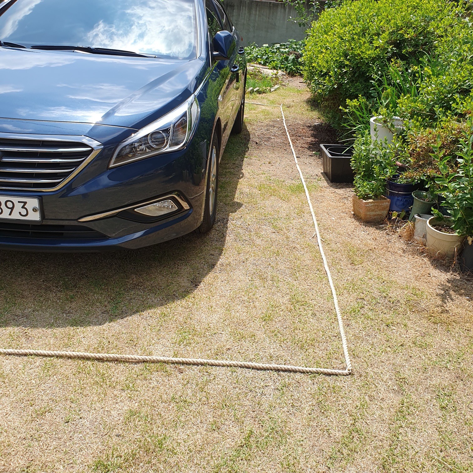 LF 쏘나타 LF LPi 2.0 렌트용 스마트 | 삼천3동 | 당근 중고차