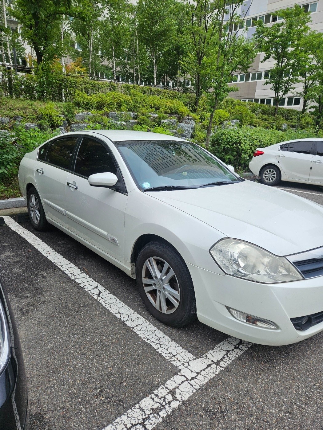 뉴 SM5 임프레션 DF 2.0 CVTC SE | 은현면 | 당근 중고차