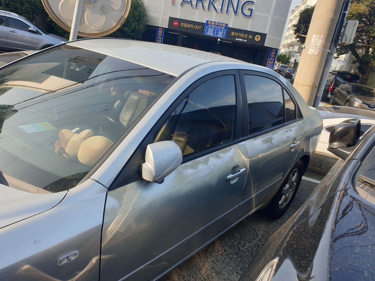 NF 쏘나타 NF N20 LPi(엘피지) | 연동 | 당근 중고차