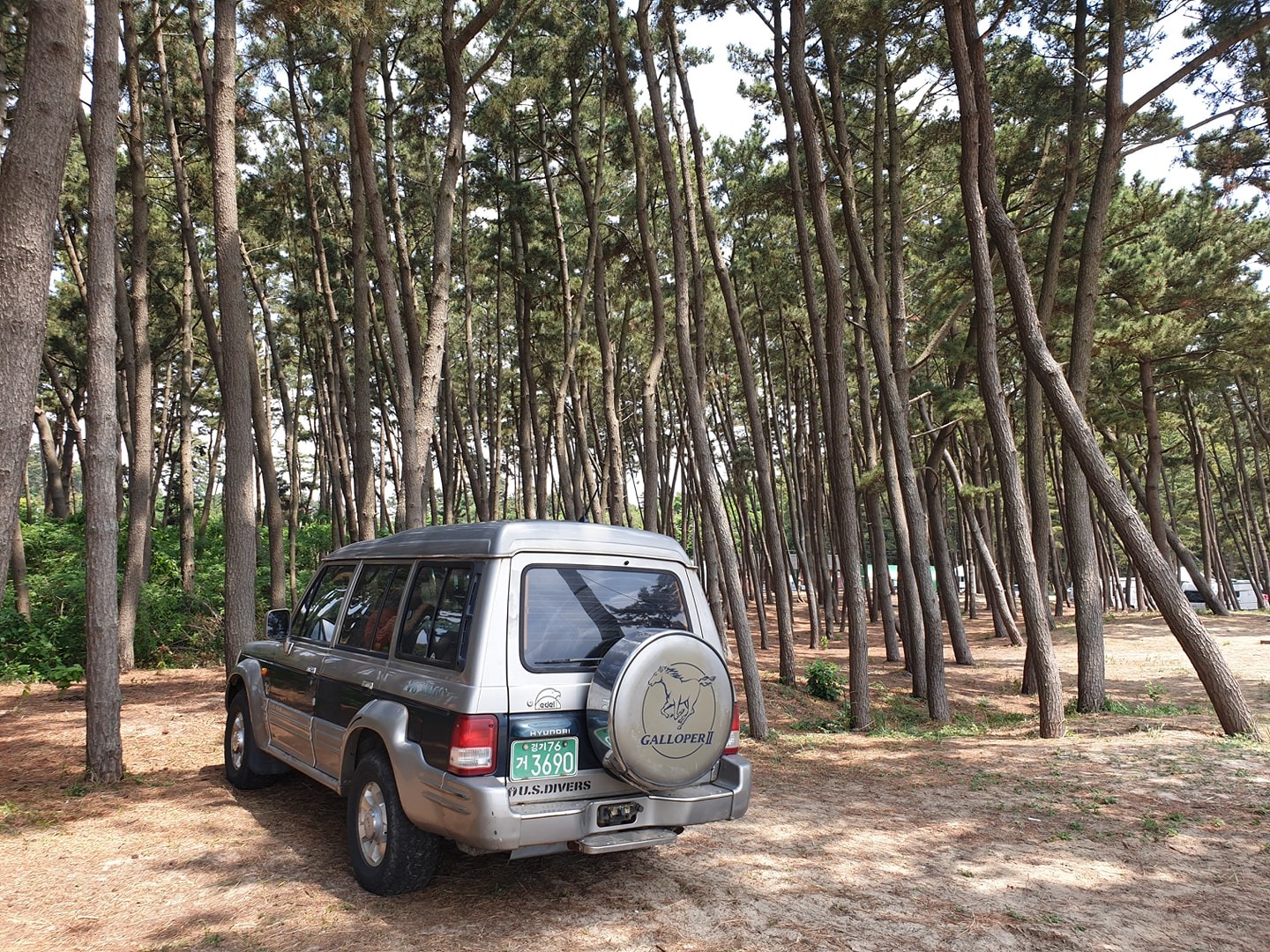 현대 갤로퍼 Ⅱ M 9인승 V6 LPG