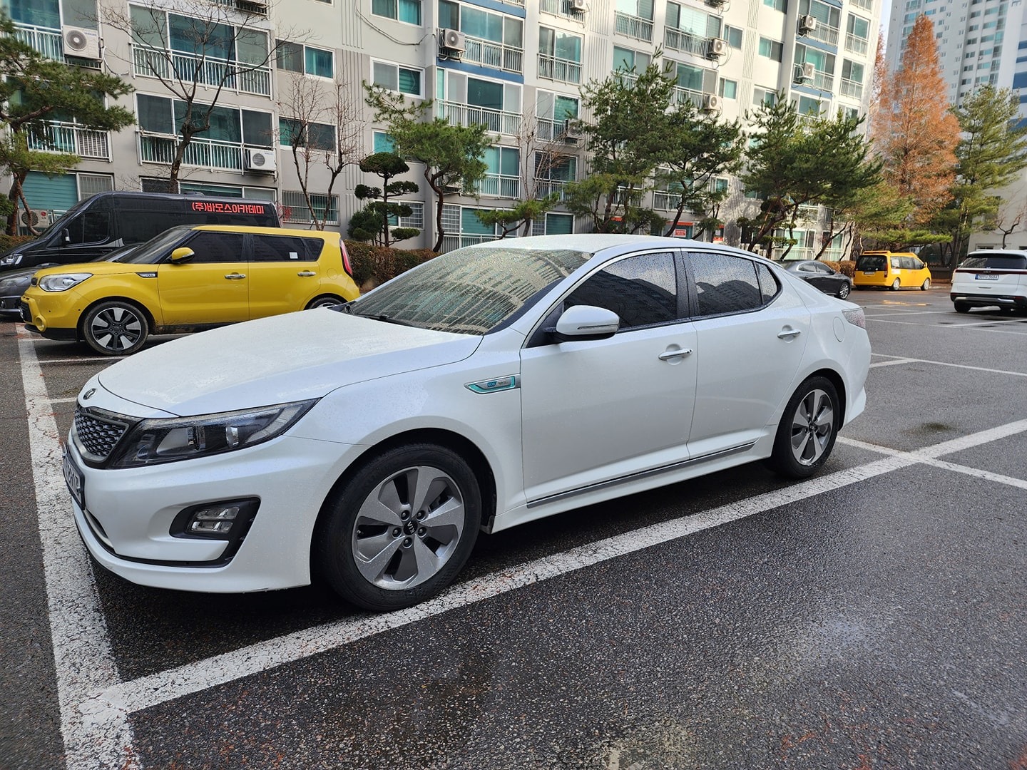 K5 하이브리드 TF HEV 2.0 프레스티지 | 초지동 | 당근 중고차