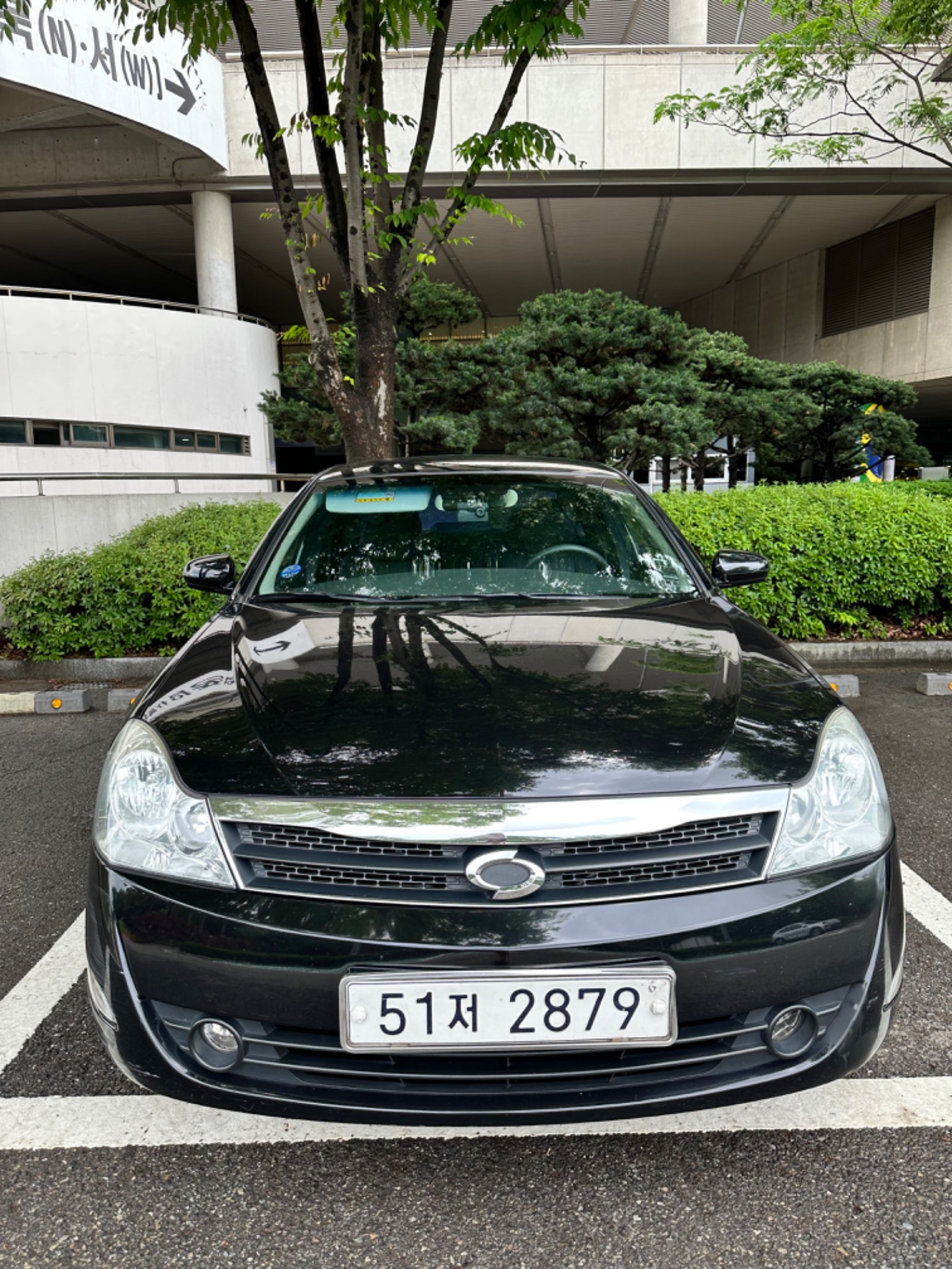 르노코리아 뉴 SM5 임프레션 DF 2.0 CVTC SE