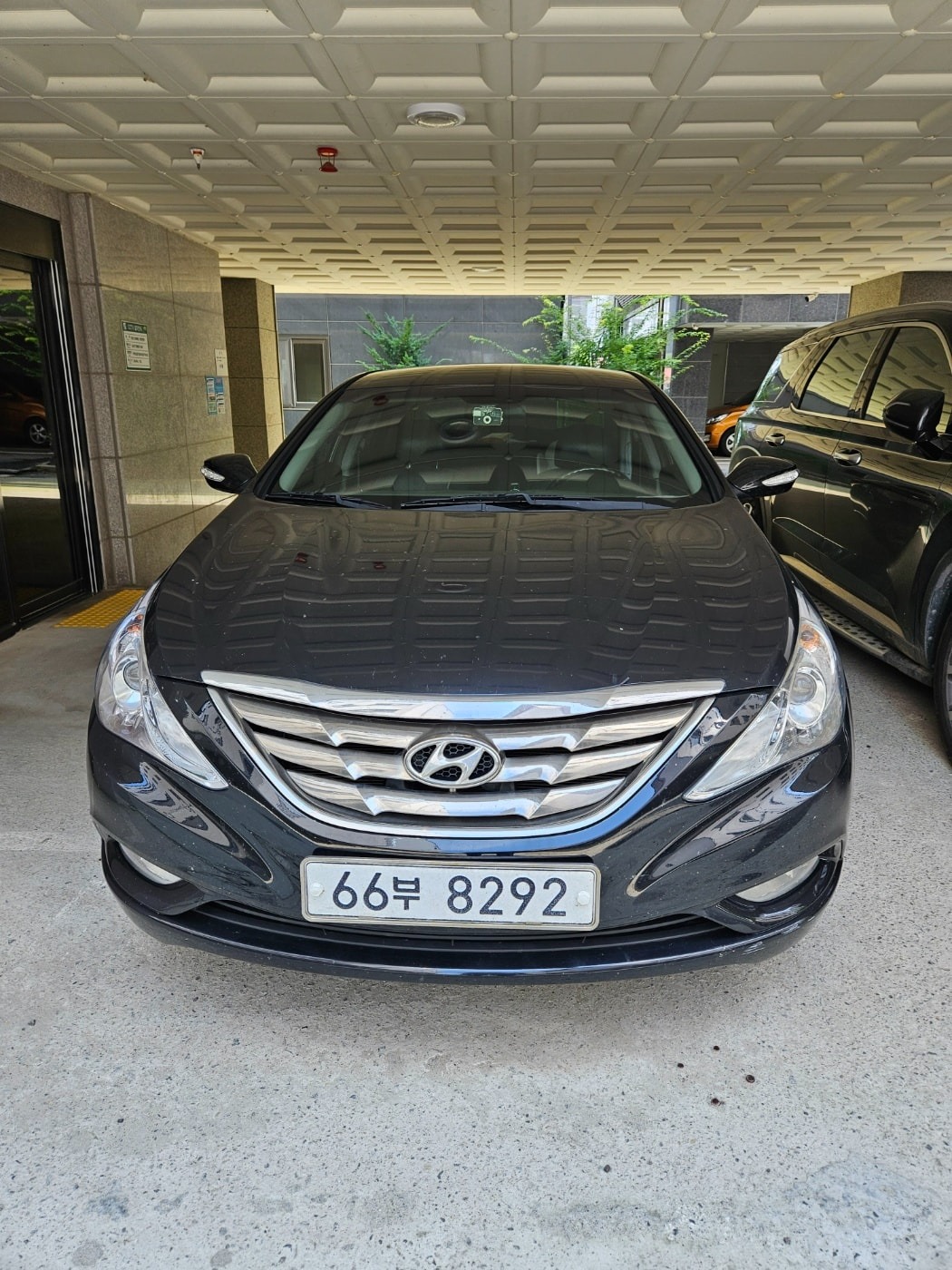 YF 쏘나타 YF LPi Y20 장애인 프리미어 | 동문동 | 당근 중고차