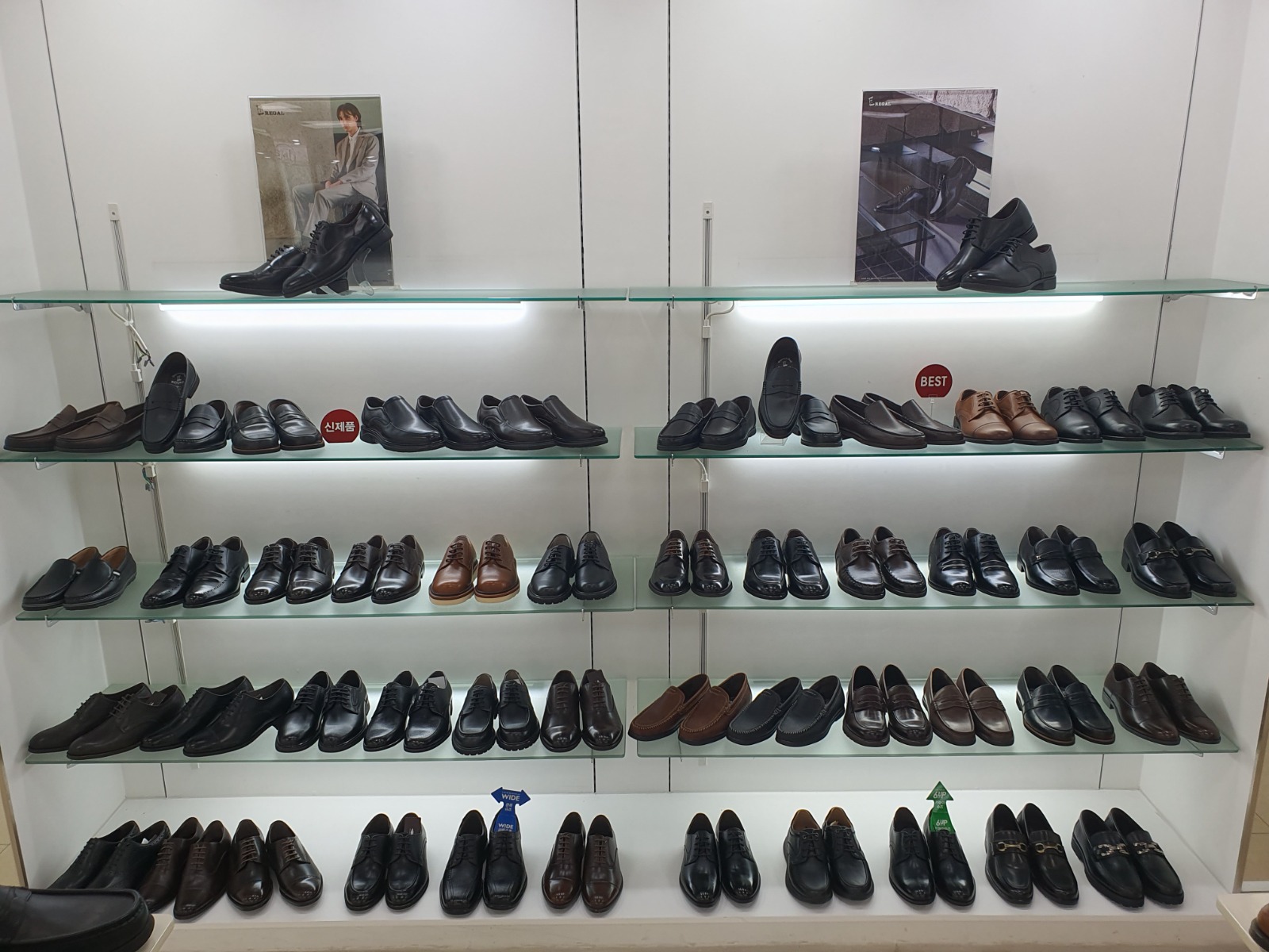 부산 반송지역 금강제화아르바이트 구합니다 | 금강제화 | 반송동 | 당근 알바