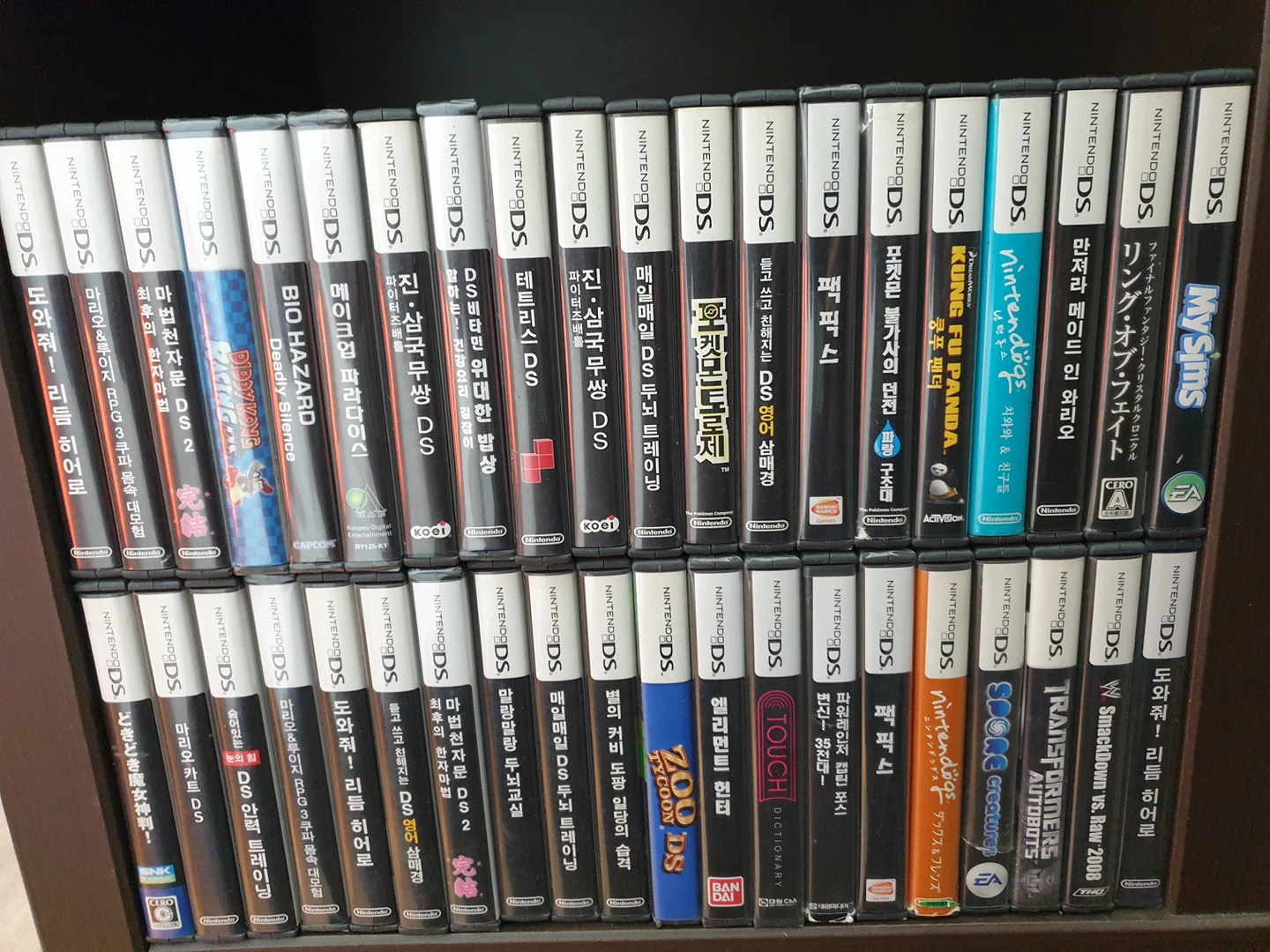 DS DS