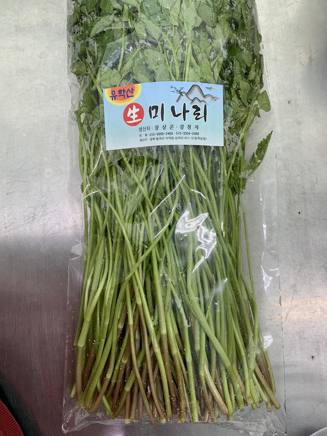 바로 드실 수 있는 생 미나리🌱 | 경상북도 칠곡군 석적읍 | 유기농식품판매 | 당근 비즈 소식