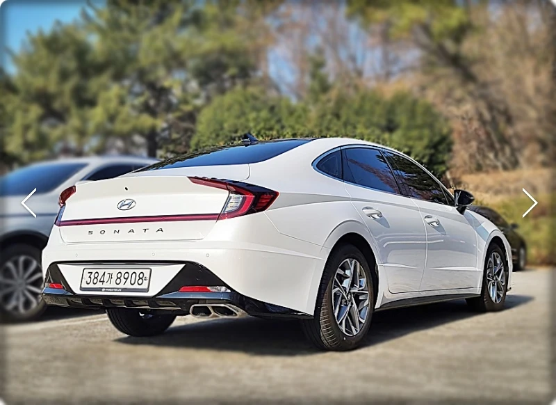 쏘나타 (DN8) 1.6 터보 프리미엄 패밀리 5인승 - 경상남도 창원시 마산회원구 양덕동 | 비즈프로필