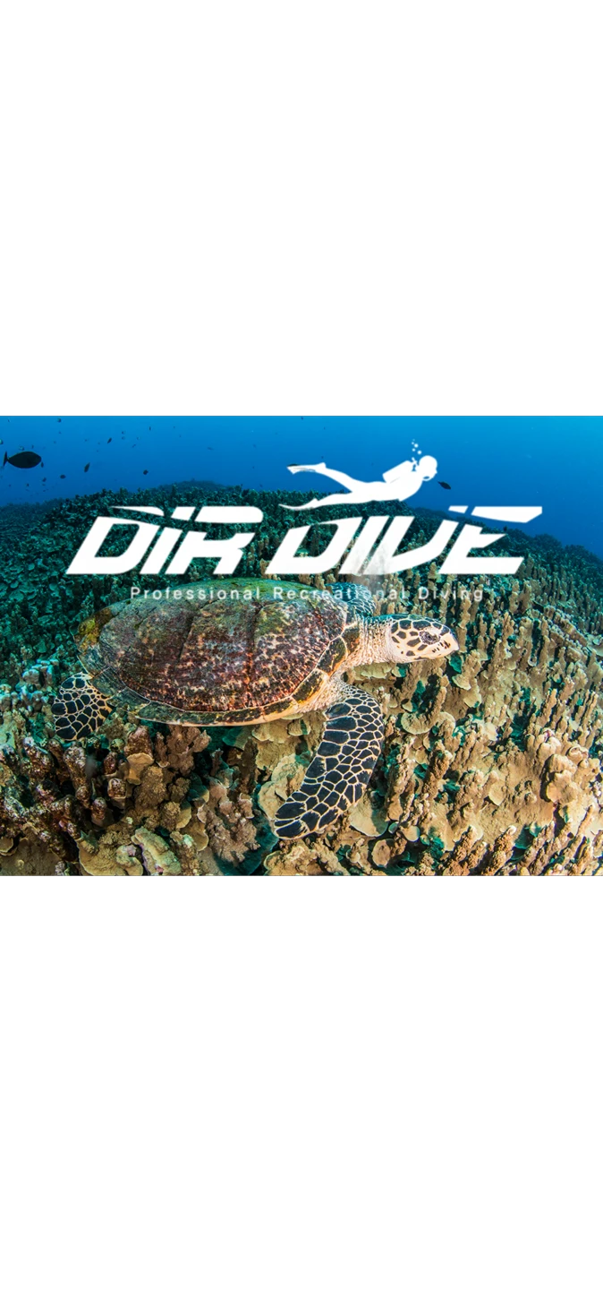 체험스쿠버다이빙 | 대구광역시 달서구 성당동 | 운동/경기용품 | 당근 비즈 소식